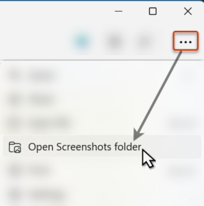 » How to Take Screenshots (on Windows/PC)